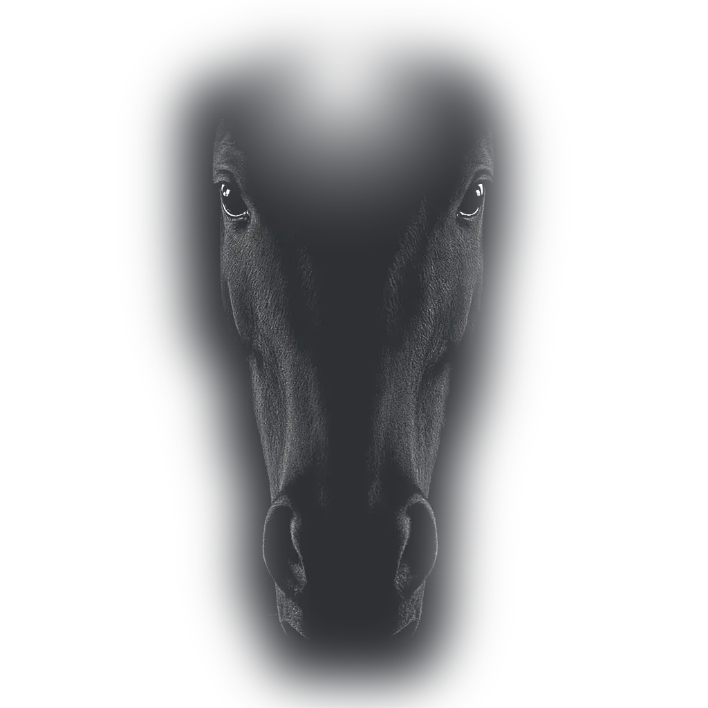 Classic Shemagh Mihyar international classic-shemagh-mihyar-international