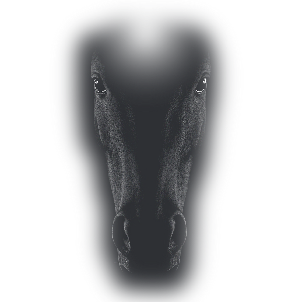 App View - About Us – Mihyar-international